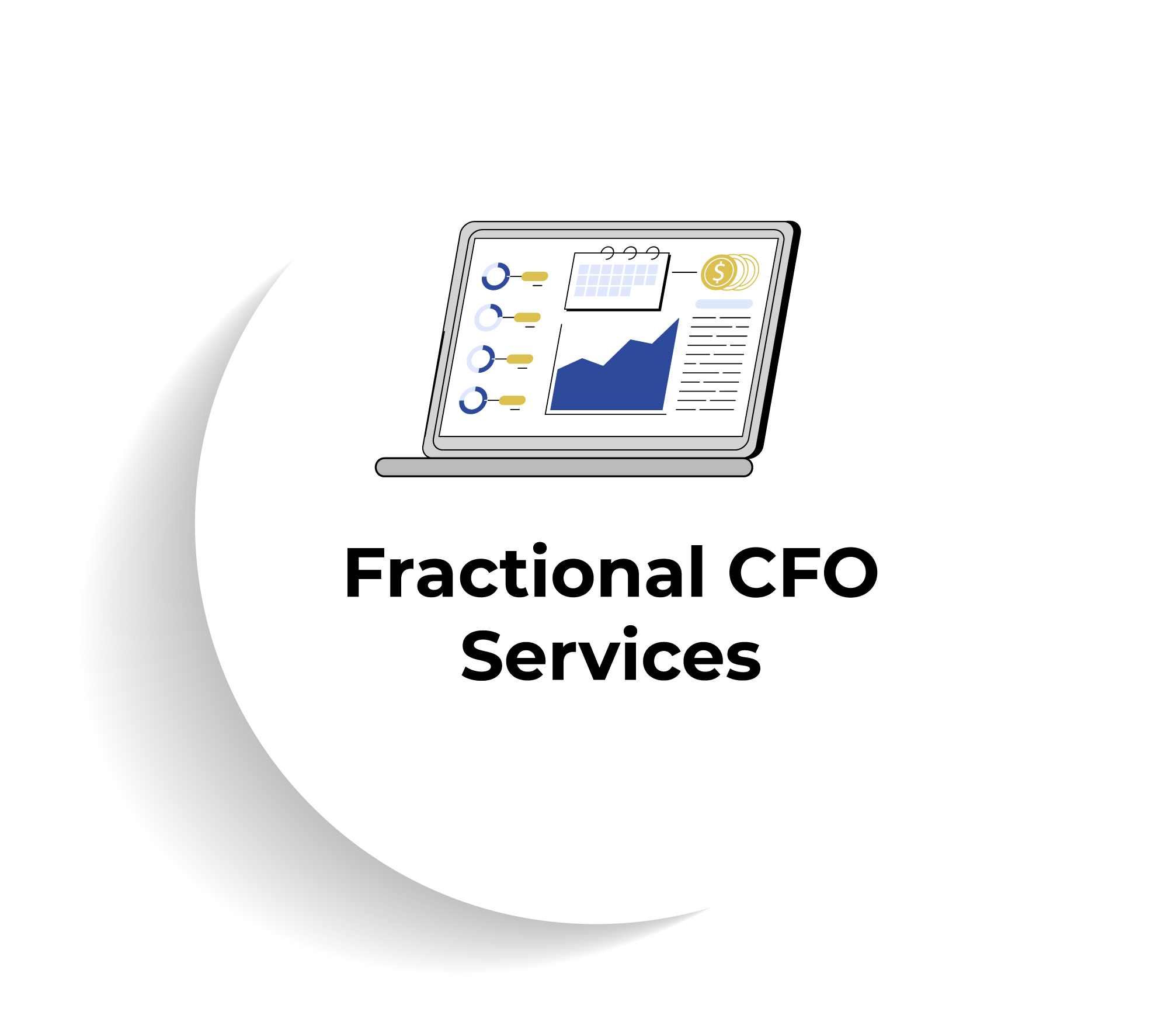 Virtual CFO Services | Corporate Chief Financial Officer